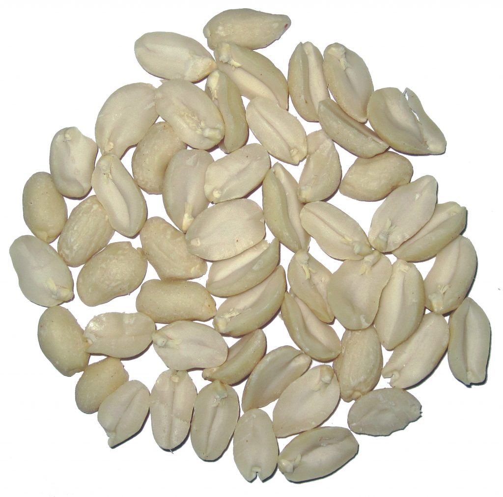 Split Peanuts – FOOD FOR THE WORLD